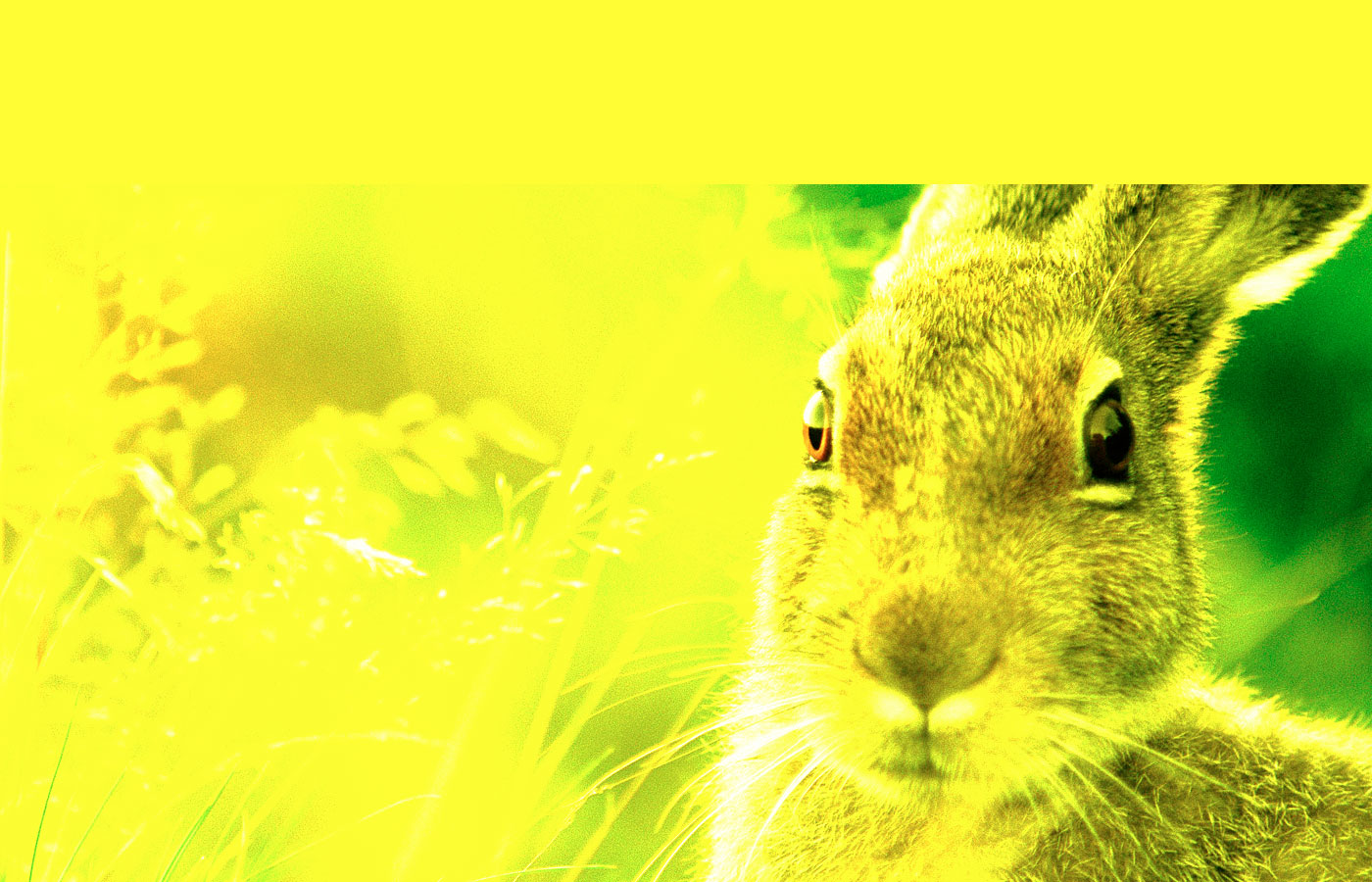 happy-hour-cocktails-400-rabbits-nottingham - 400 Rabbits